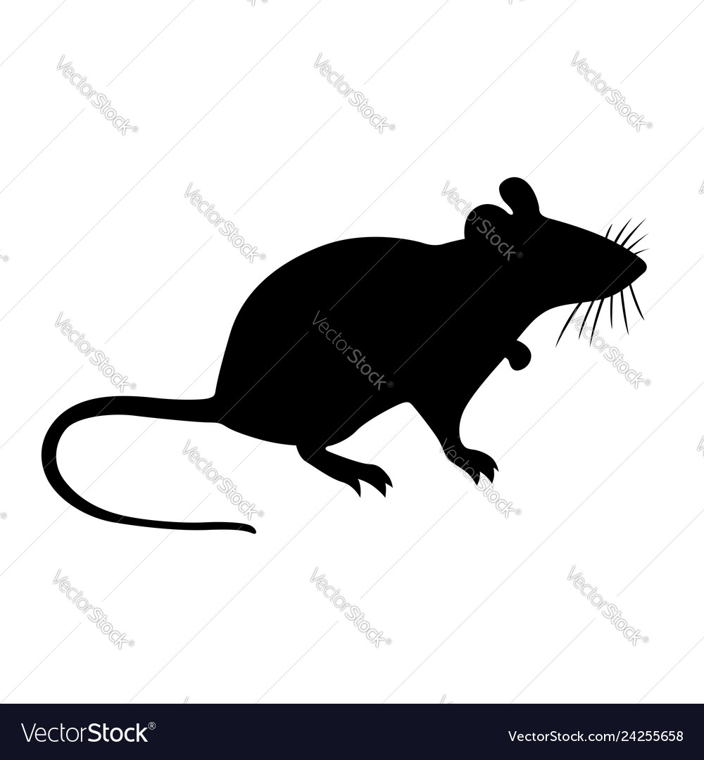 Mouse Royalty Free Vector Image - VectorStock
