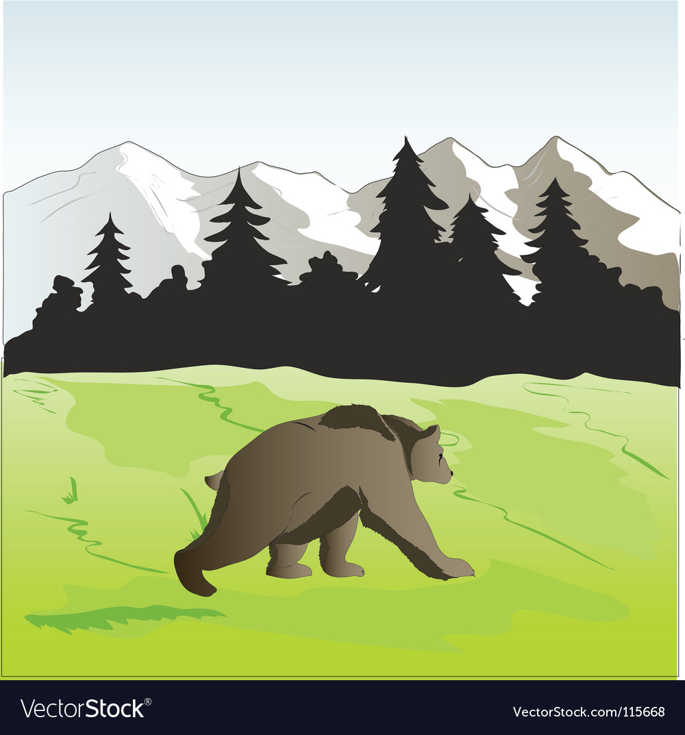 Bear Royalty Free Vector Image - VectorStock