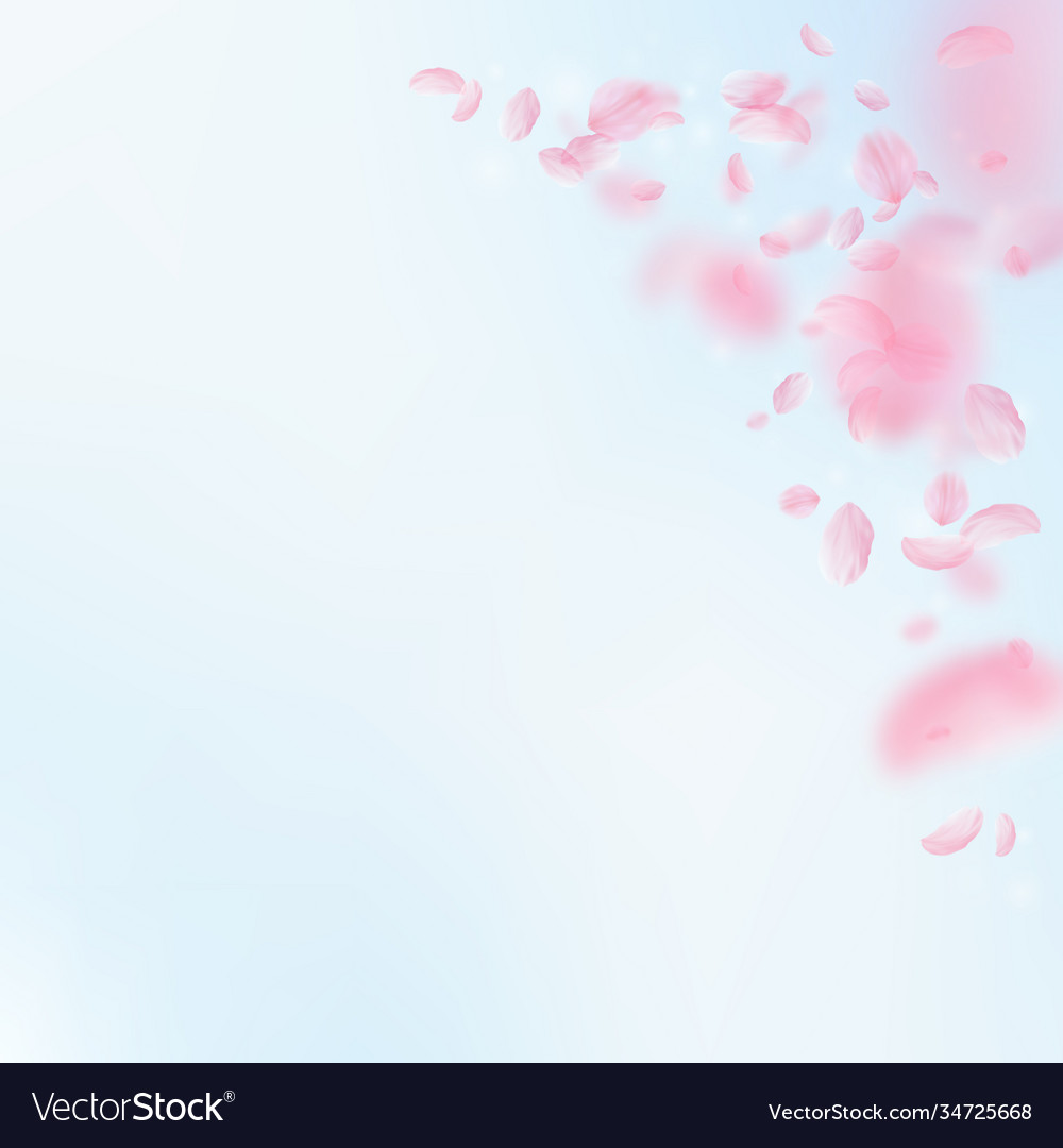 Sakura petals falling down romantic pink flowers Vector Image