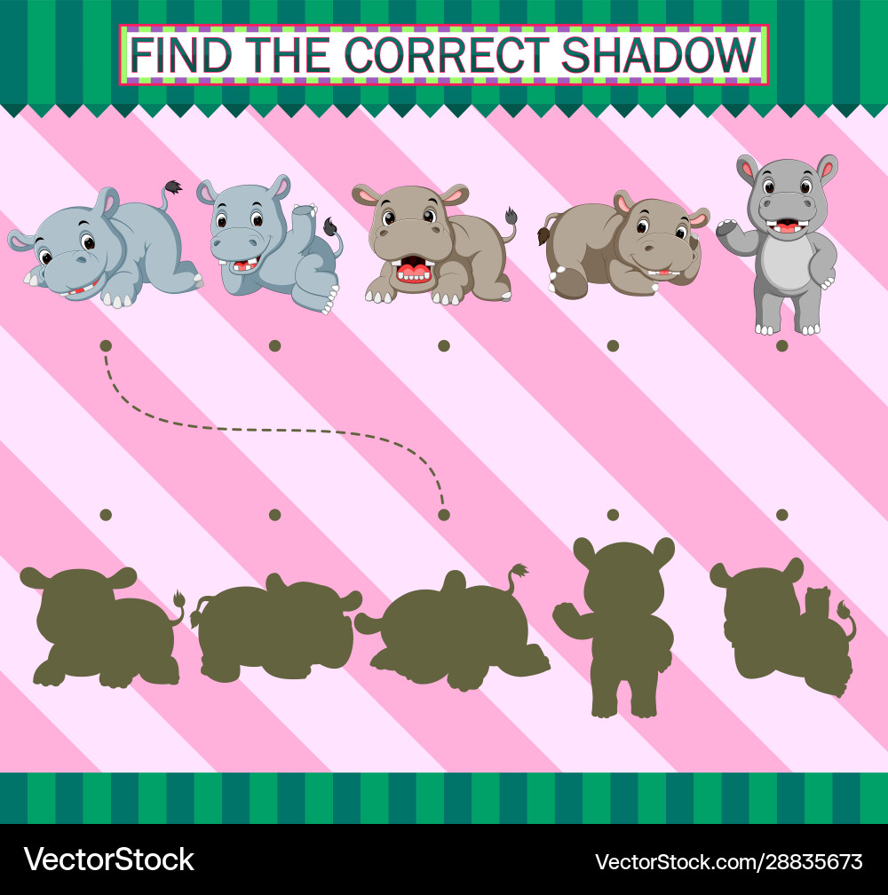 Find correct shadow cartoon cute rhino Royalty Free Vector