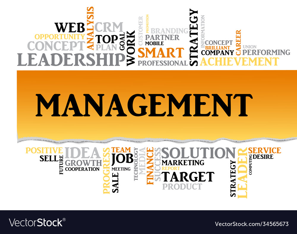Management Royalty Free Vector Image - VectorStock