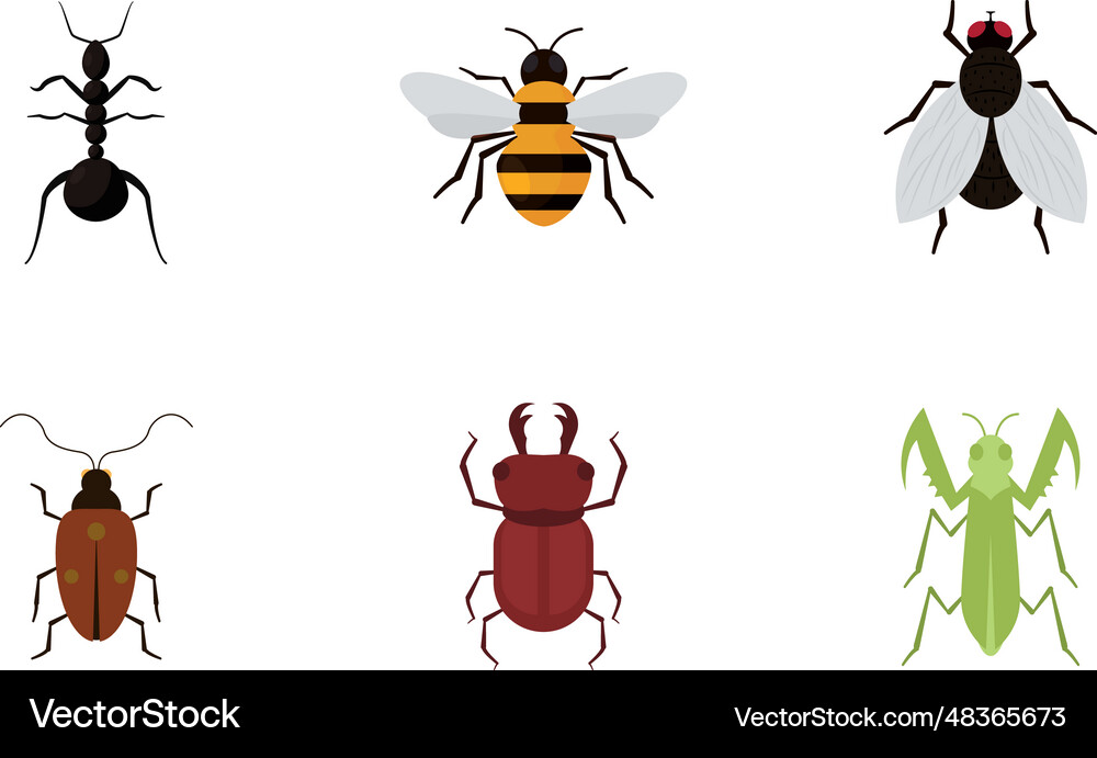 Set of different colored insect icons Royalty Free Vector