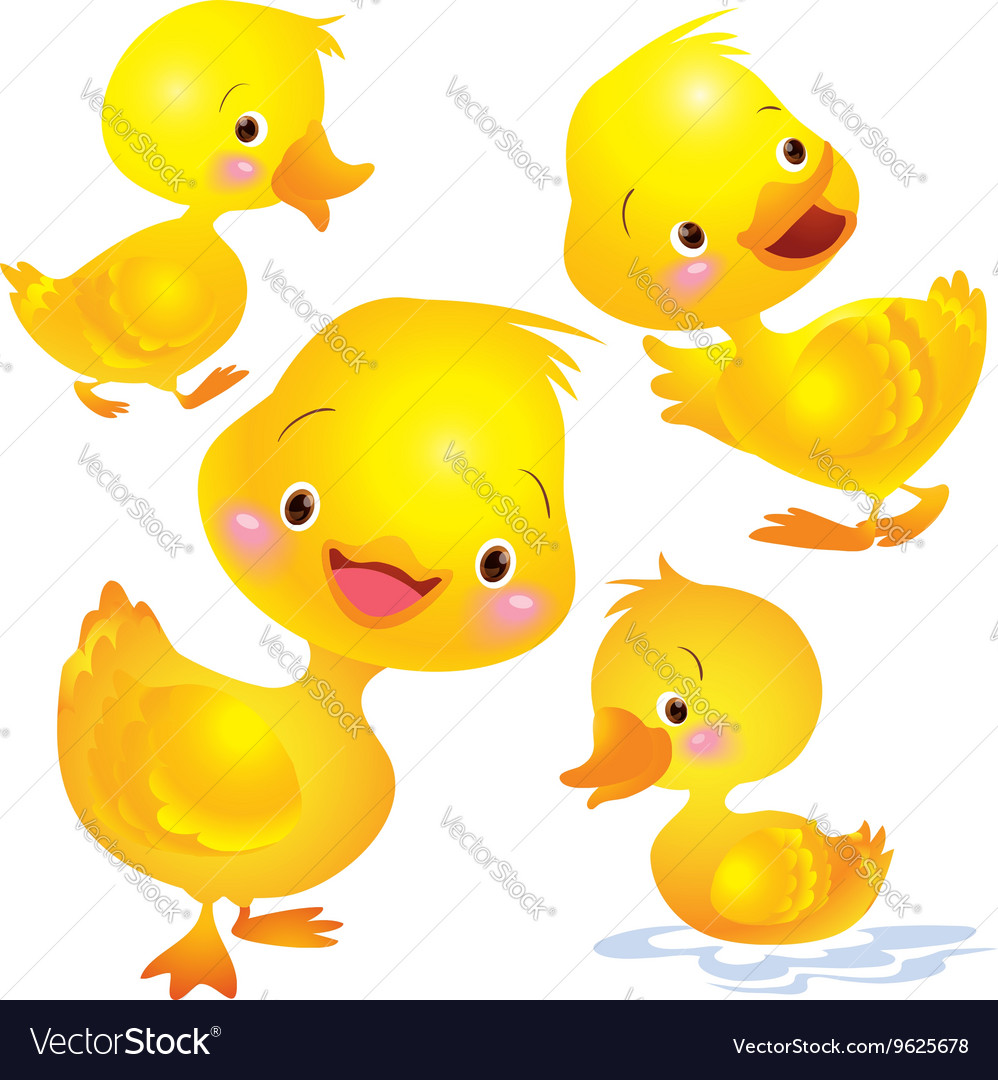 Cute duck yellow Royalty Free Vector Image - VectorStock