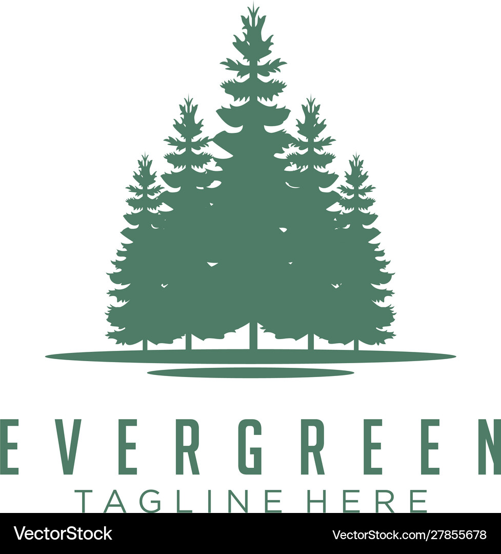 Evergreen pines spruce cedar trees logo design Vector Image