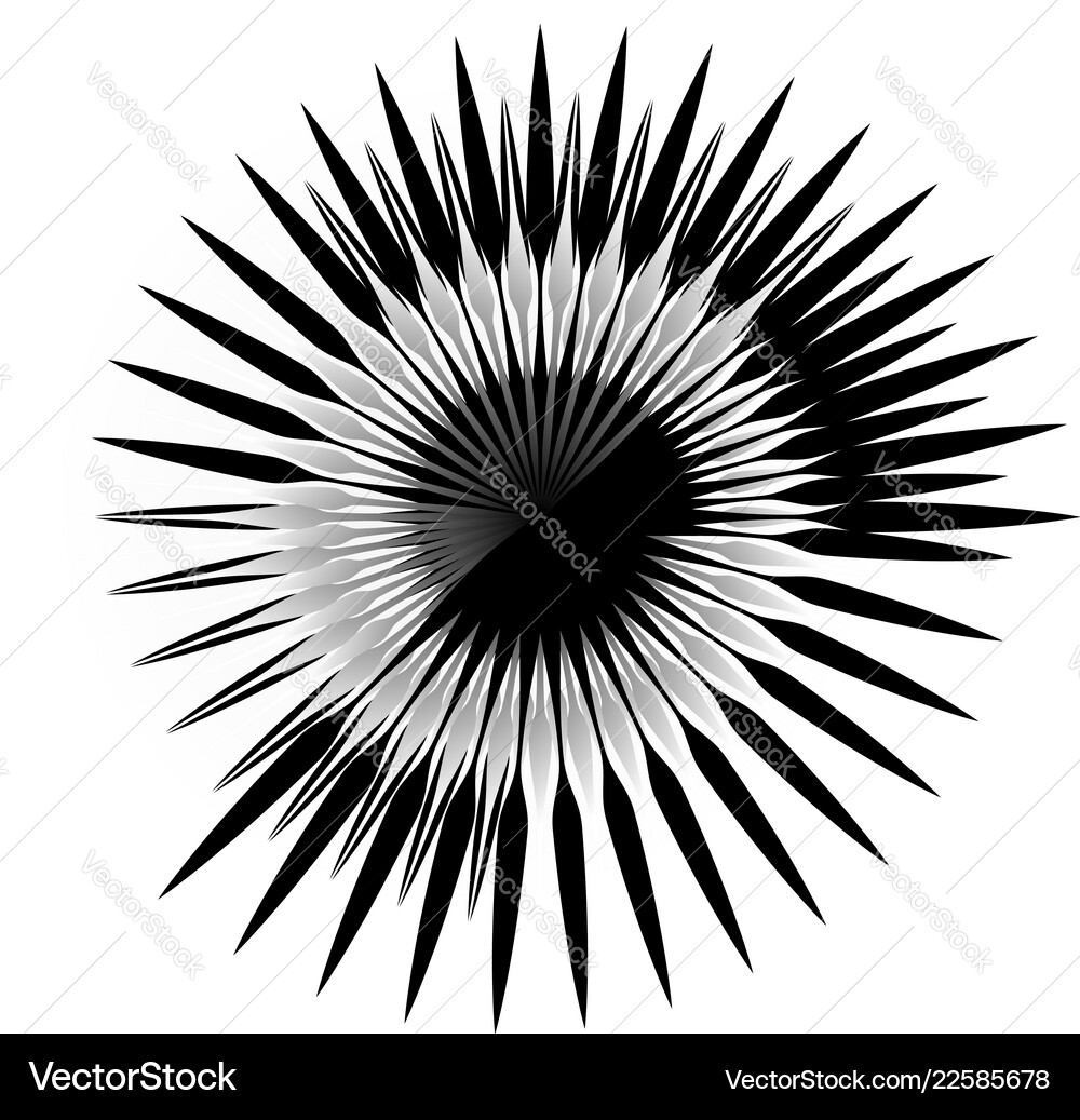 Radial radiating lines asymmetrical geometric Vector Image