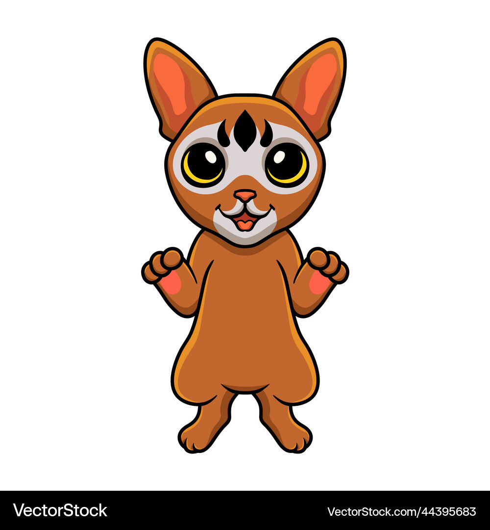 Cute abyssinian cat cartoon standing Royalty Free Vector