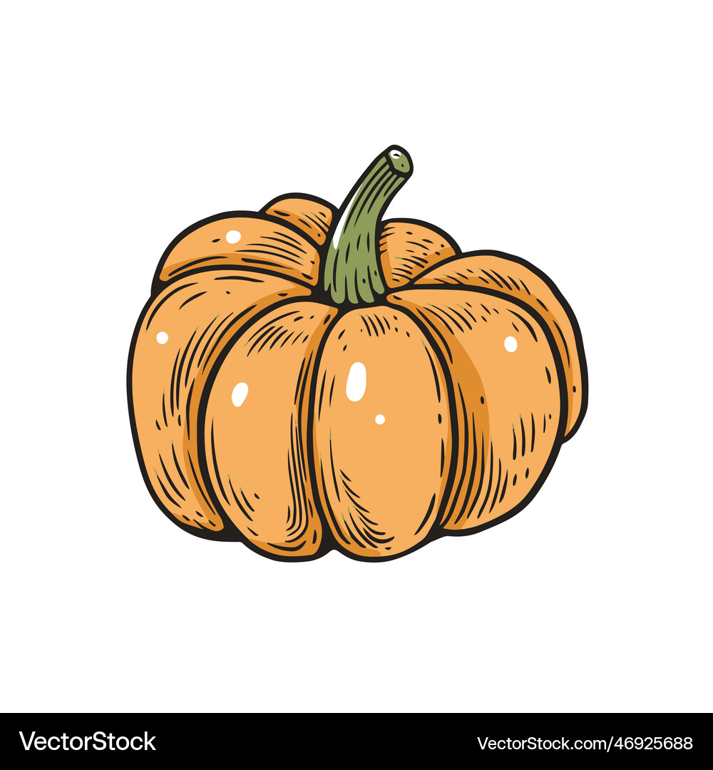 Pumpkin cartoon style art Royalty Free Vector Image