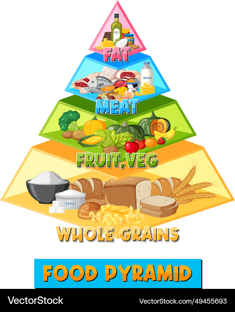 Cartoon food pyramid infographic a visual guide Vector Image