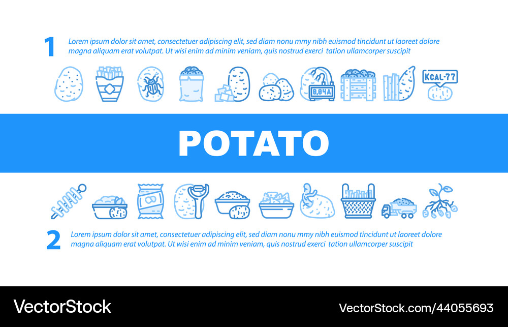 Potato vegetable food fresh landing header Vector Image