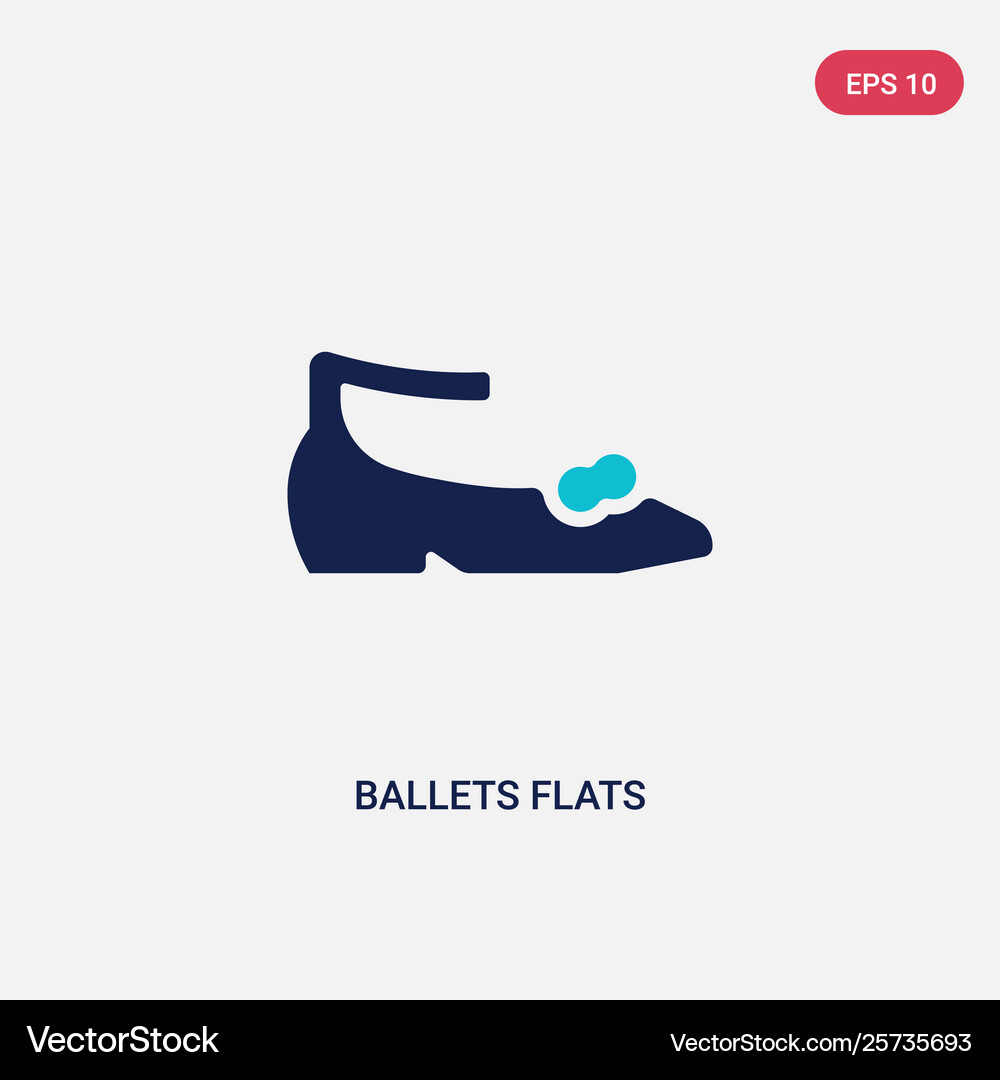 Two color ballets flats icon from clothes concept Vector Image
