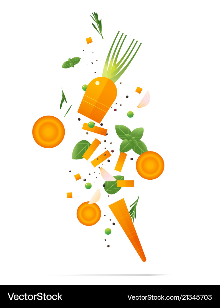 Flying fresh carrots and spices concept Royalty Free Vector