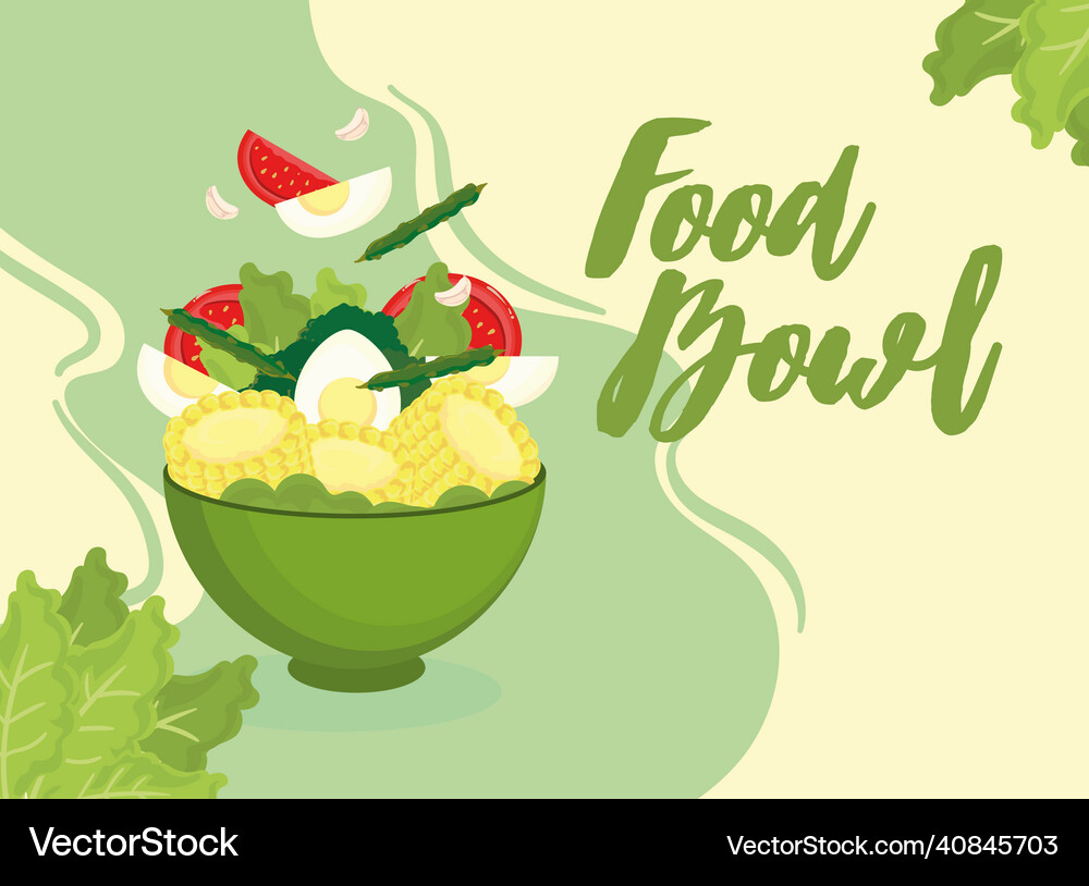 Healthy food bowl Royalty Free Vector Image - VectorStock