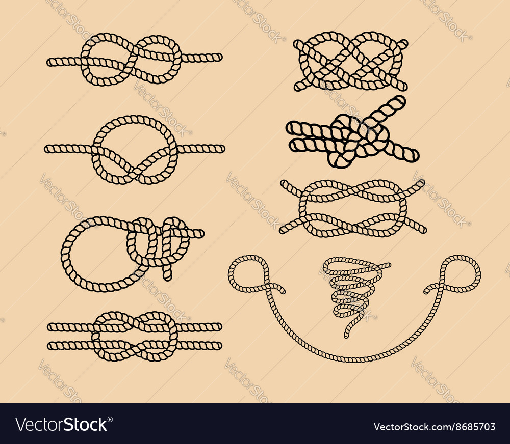 Knots set Royalty Free Vector Image - VectorStock