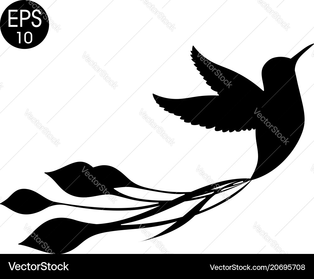 Bird of colibri Royalty Free Vector Image - VectorStock