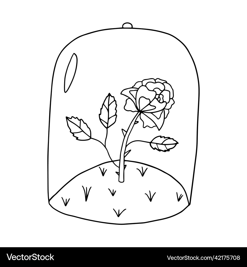 Cartoon doodle linear rose flower under a glass Vector Image