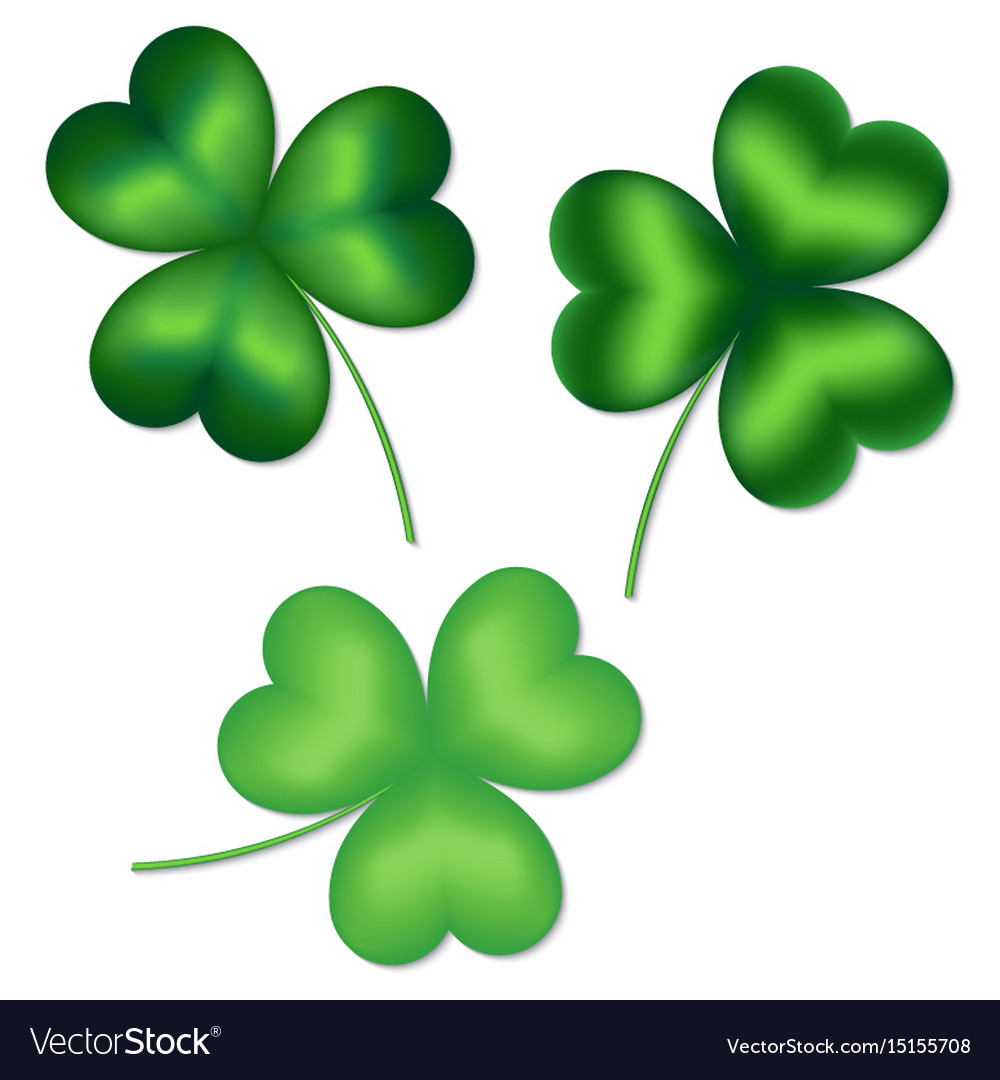Collection Shamrocks Royalty Free Vector Image