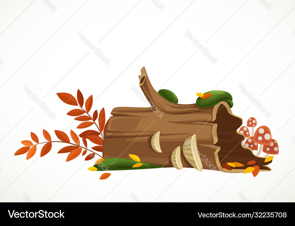 Empty log overgrown with moss and amanita Vector Image