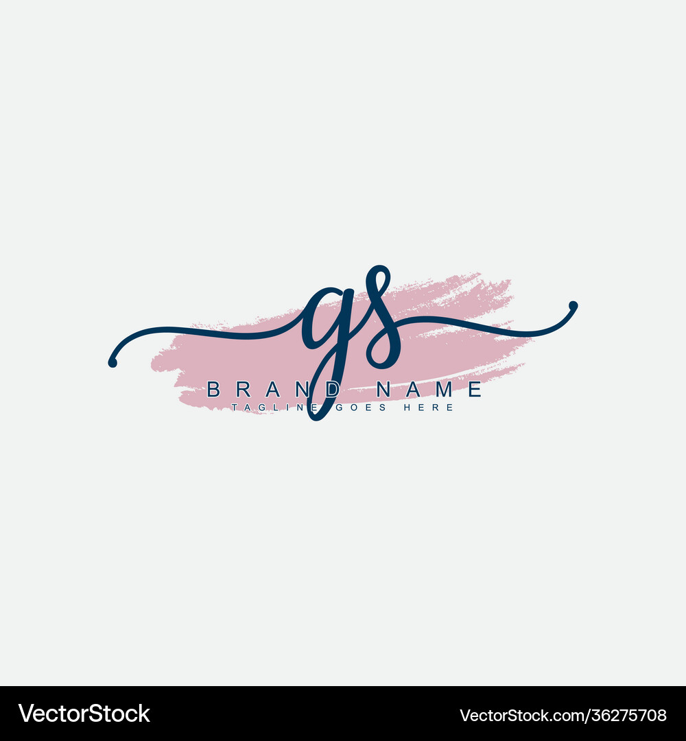Initial letter gs logo - hand drawn signature Vector Image