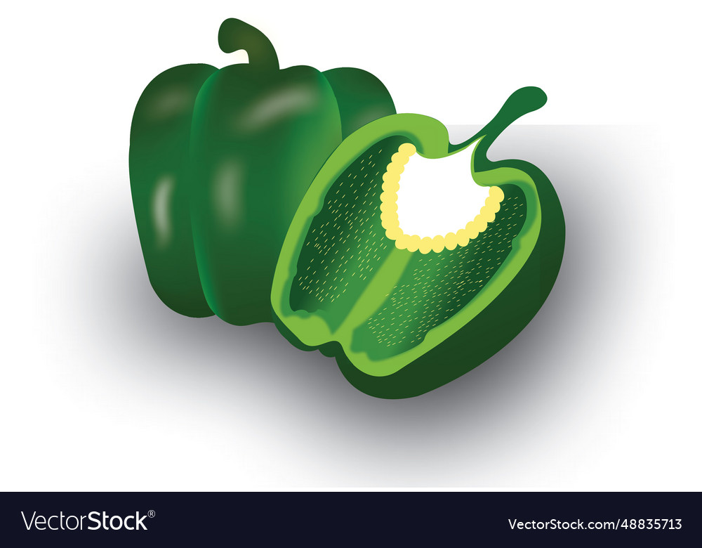 Capsicum Royalty Free Vector Image - VectorStock