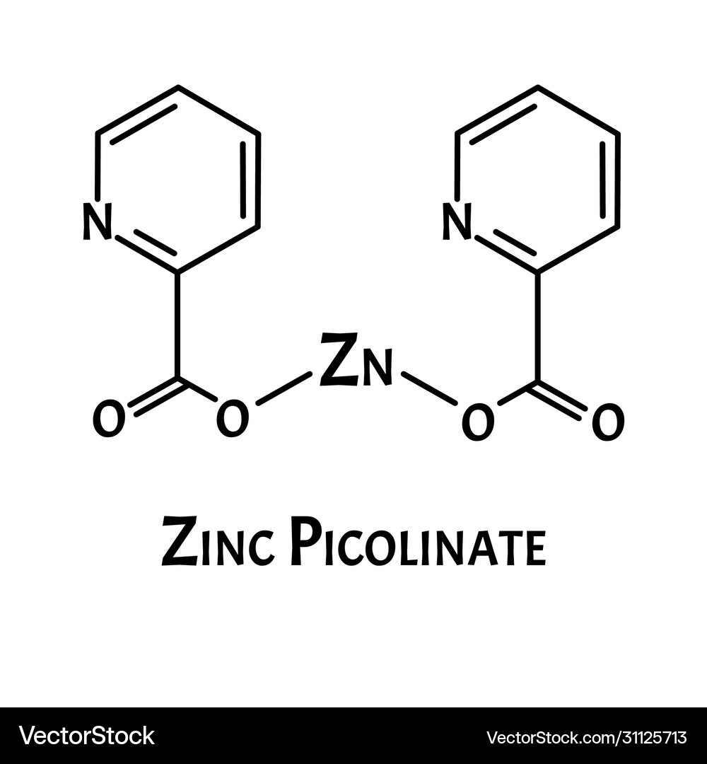 Zinc picolinate molecular chemical formula Vector Image