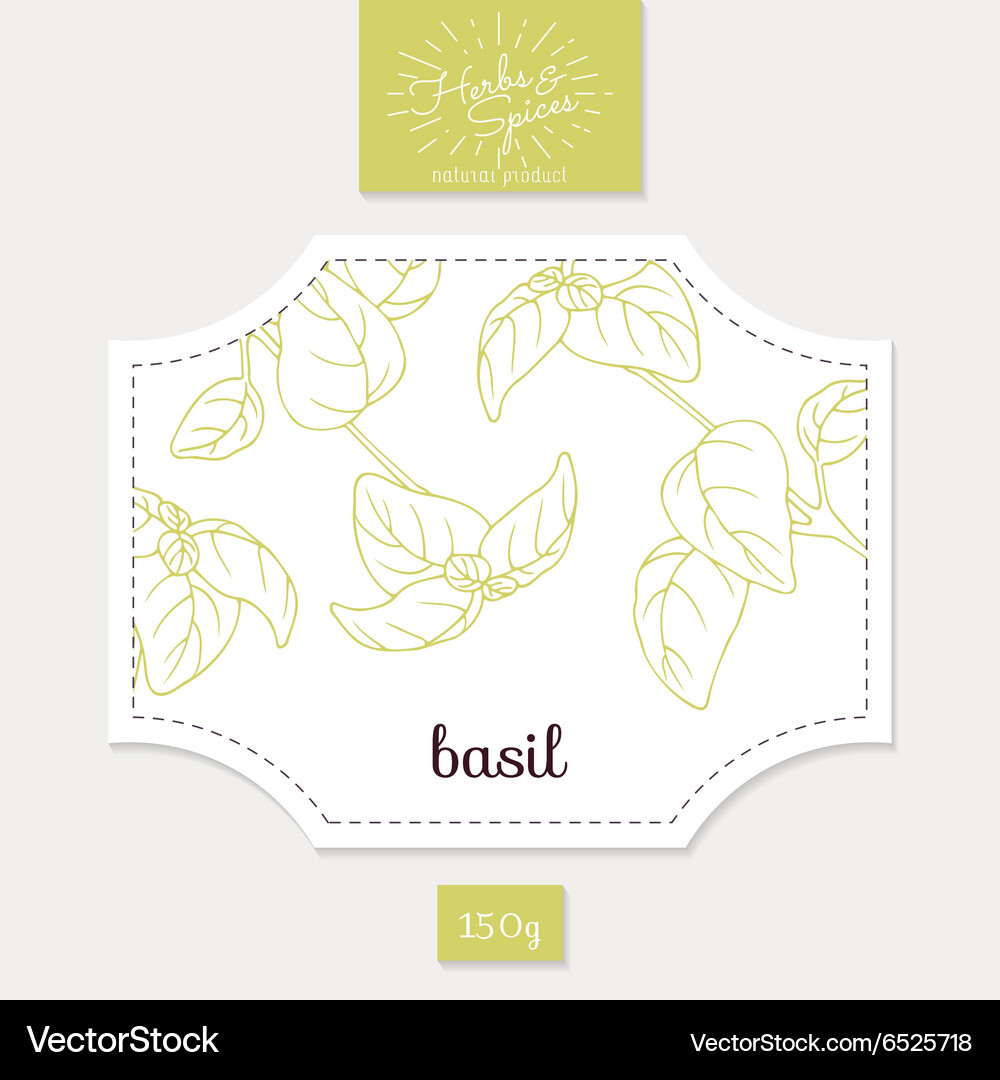 Product sticker with hand drawn basil leaves Vector Image
