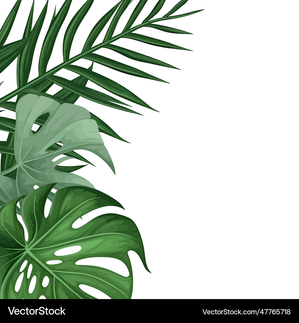 Tropical palm leaves jungle leaf seamless Vector Image