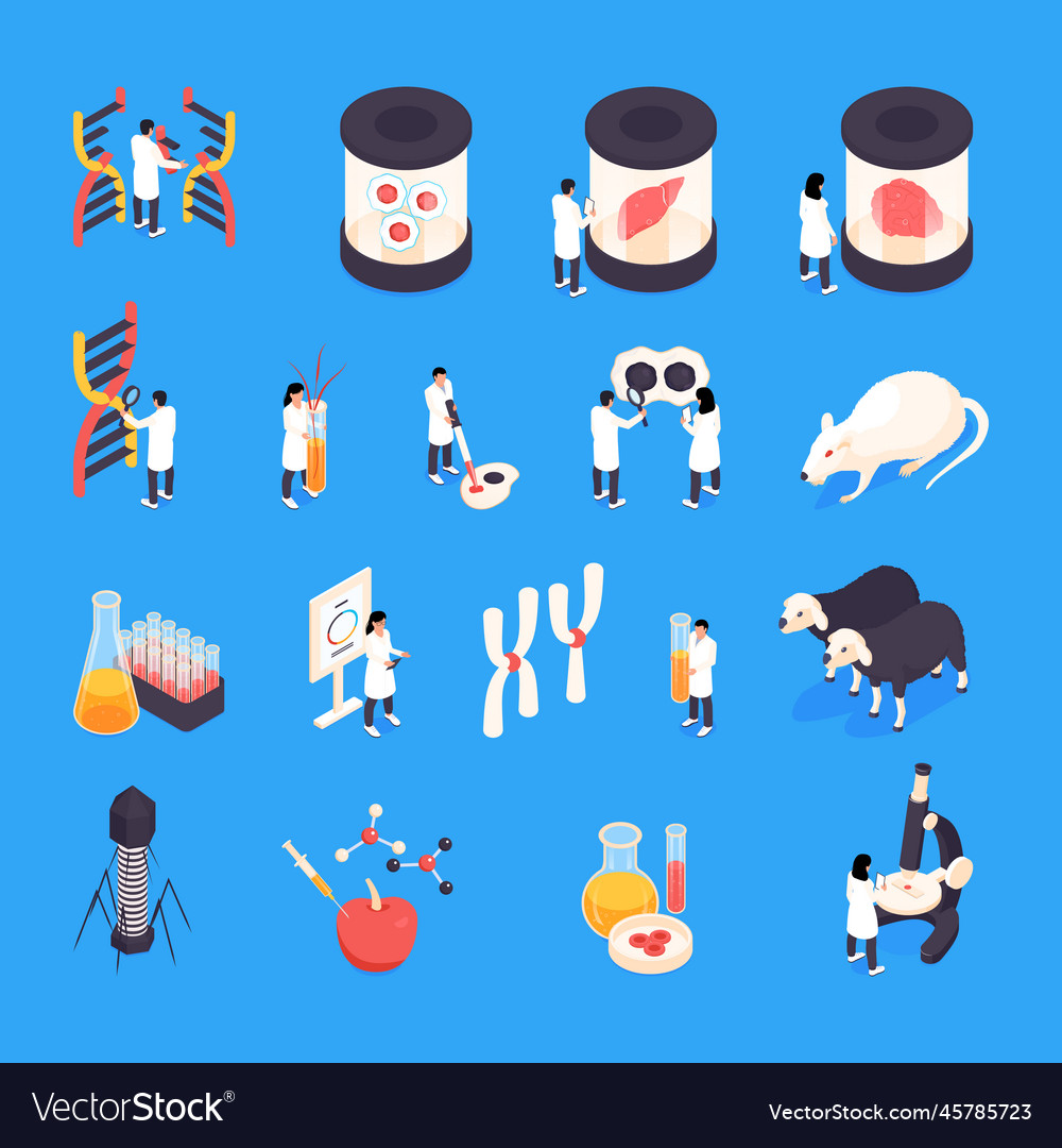 Isometric genetic engineering set with scientists Vector Image