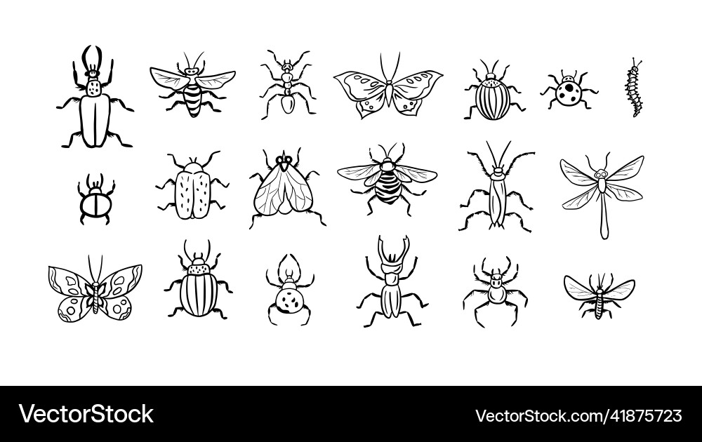 Set of insects drawn Royalty Free Vector Image