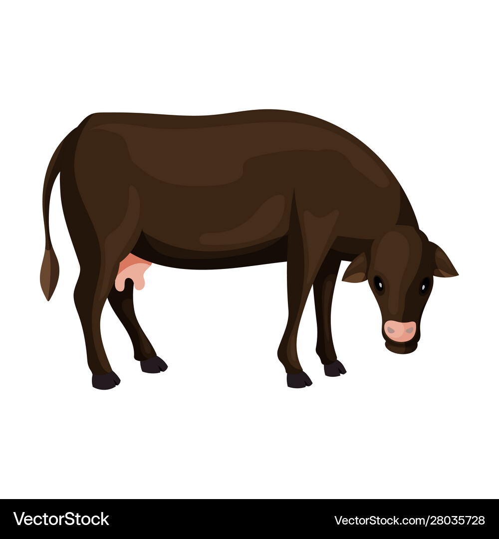 Cow iconcartoon icon isolated Royalty Free Vector Image