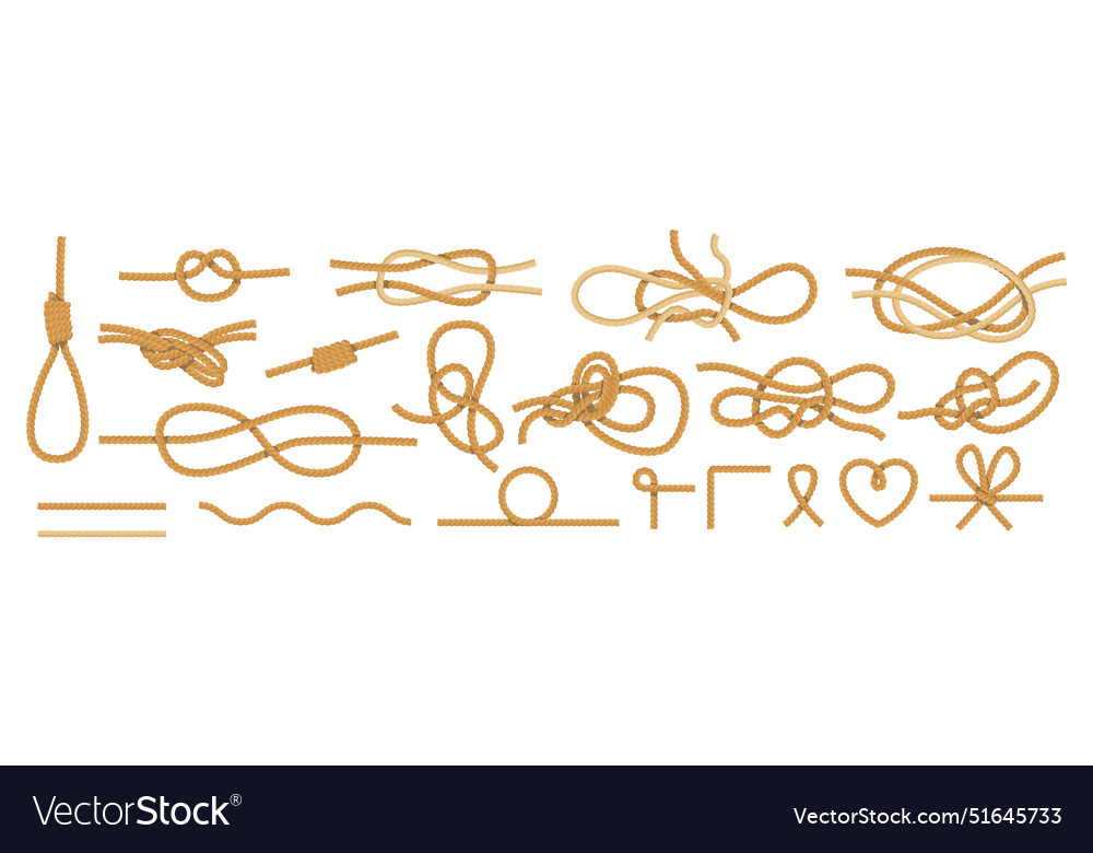 Collection various rope knots isolated white Vector Image