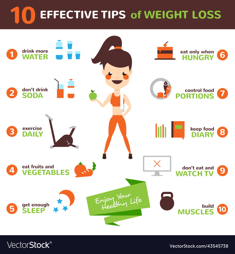 Diet infographic set Royalty Free Vector Image