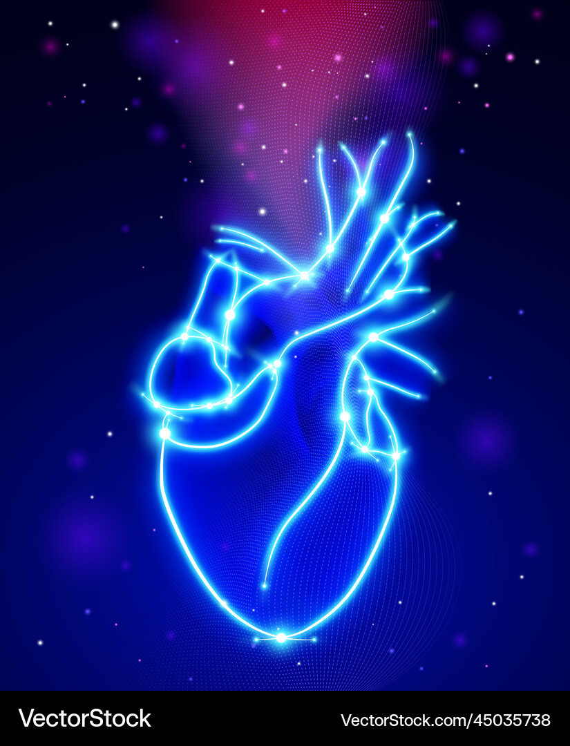 Heart shaped glowing stripes on night sky Vector Image