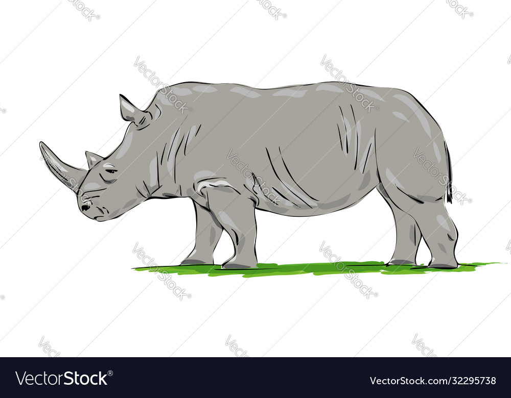 Rhino Royalty Free Vector Image - VectorStock