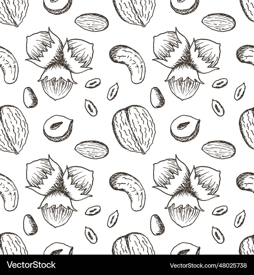 Seamless pattern with a variety of nuts in Vector Image