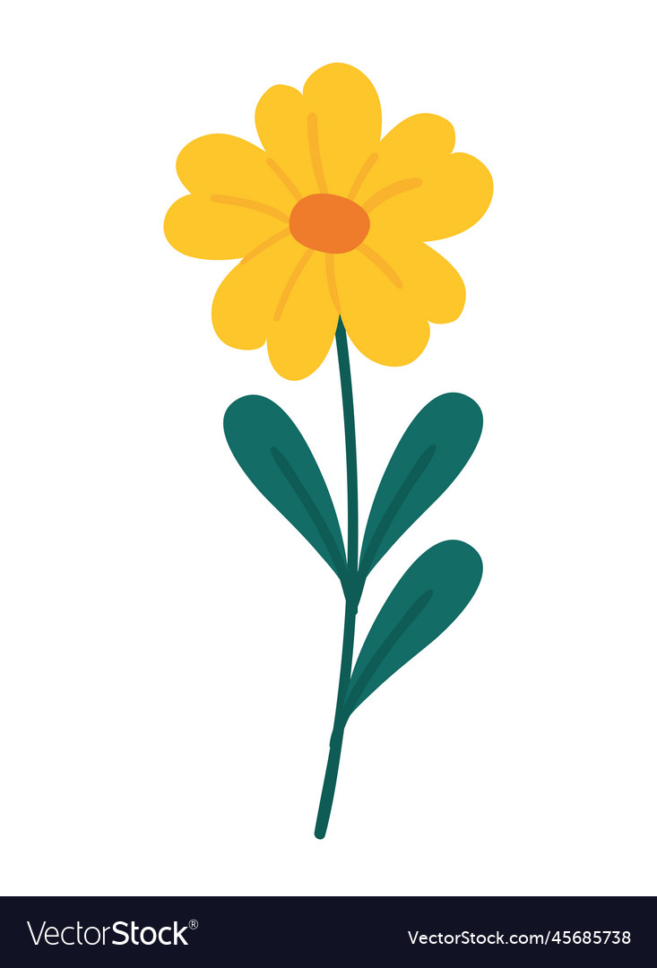 Yellow flower spring Royalty Free Vector Image