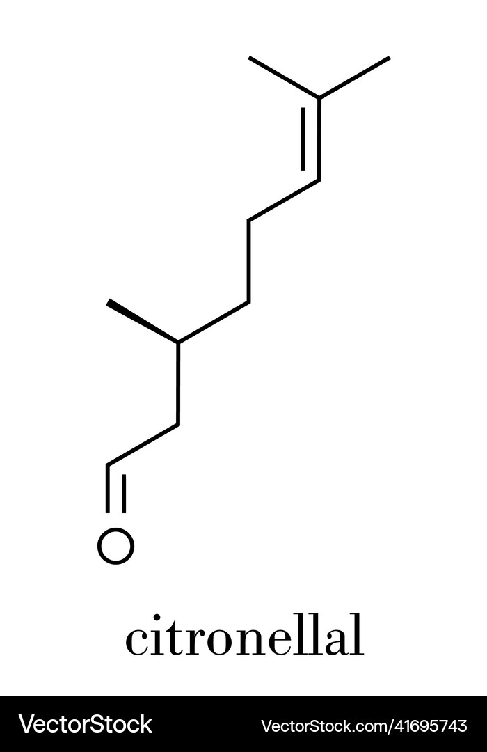 Citronellal citronella oil molecule used Vector Image