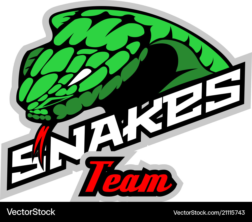 Snake logo template for team sport theme Vector Image