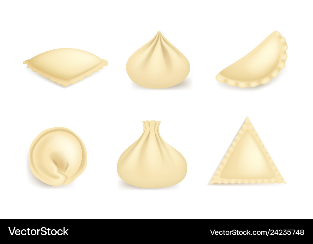Realistic 3d detailed dumplings set traditional Vector Image