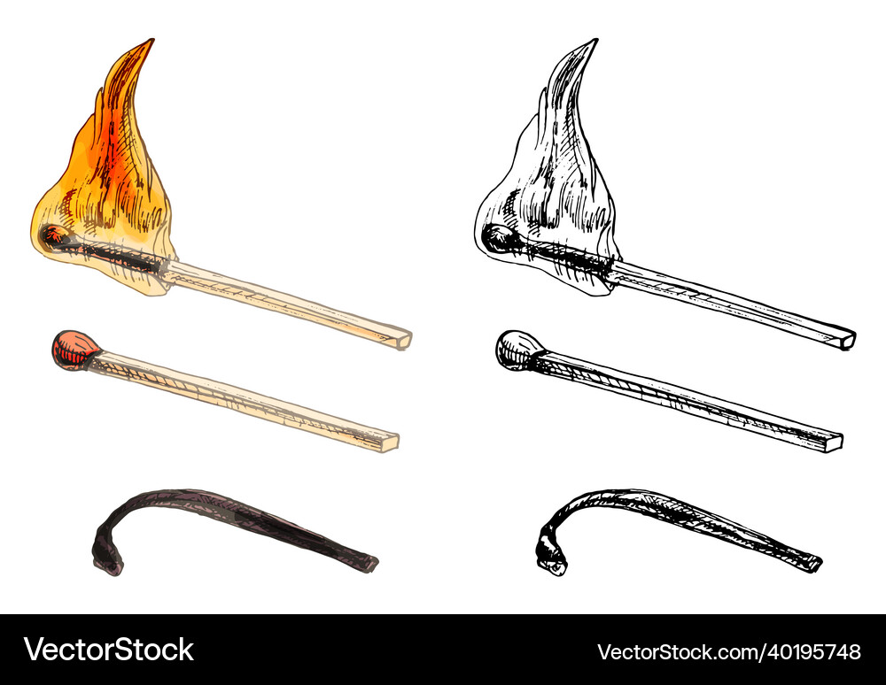 Three types of matches - whole burning burnt Vector Image