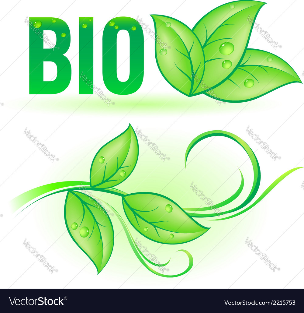 Bio word with leaf elements Royalty Free Vector Image