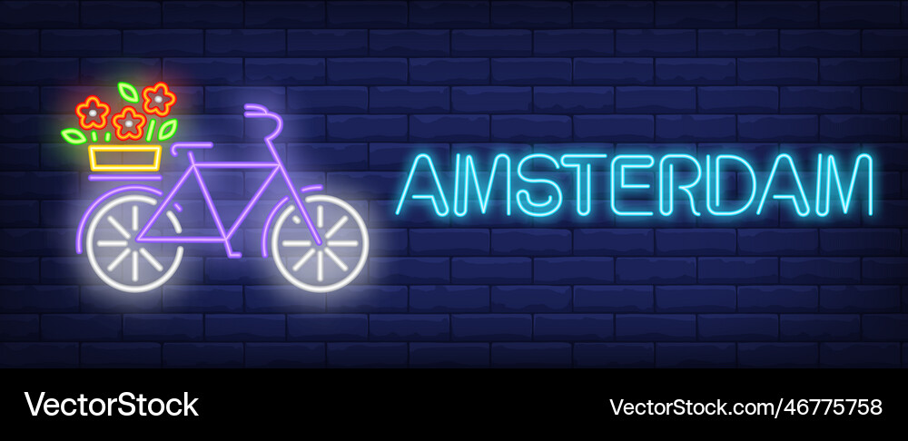 Amsterdam neon text bicycle with flowers Vector Image