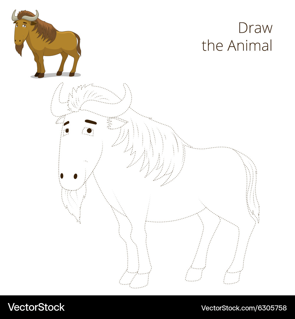 Draw the animal educational game wildebeest Vector Image