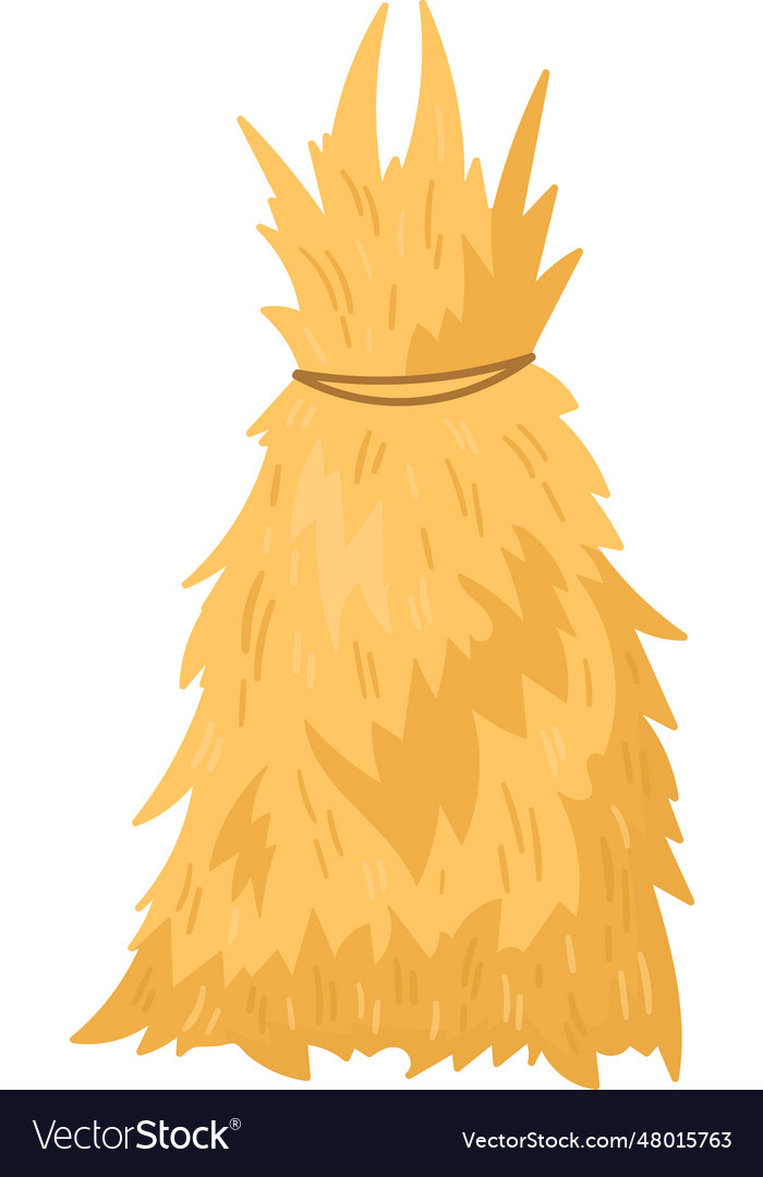 Dry farm haystack Royalty Free Vector Image - VectorStock