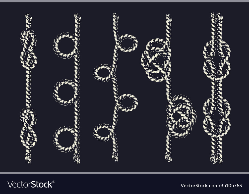 Rope pattern brush template Royalty Free Vector Image