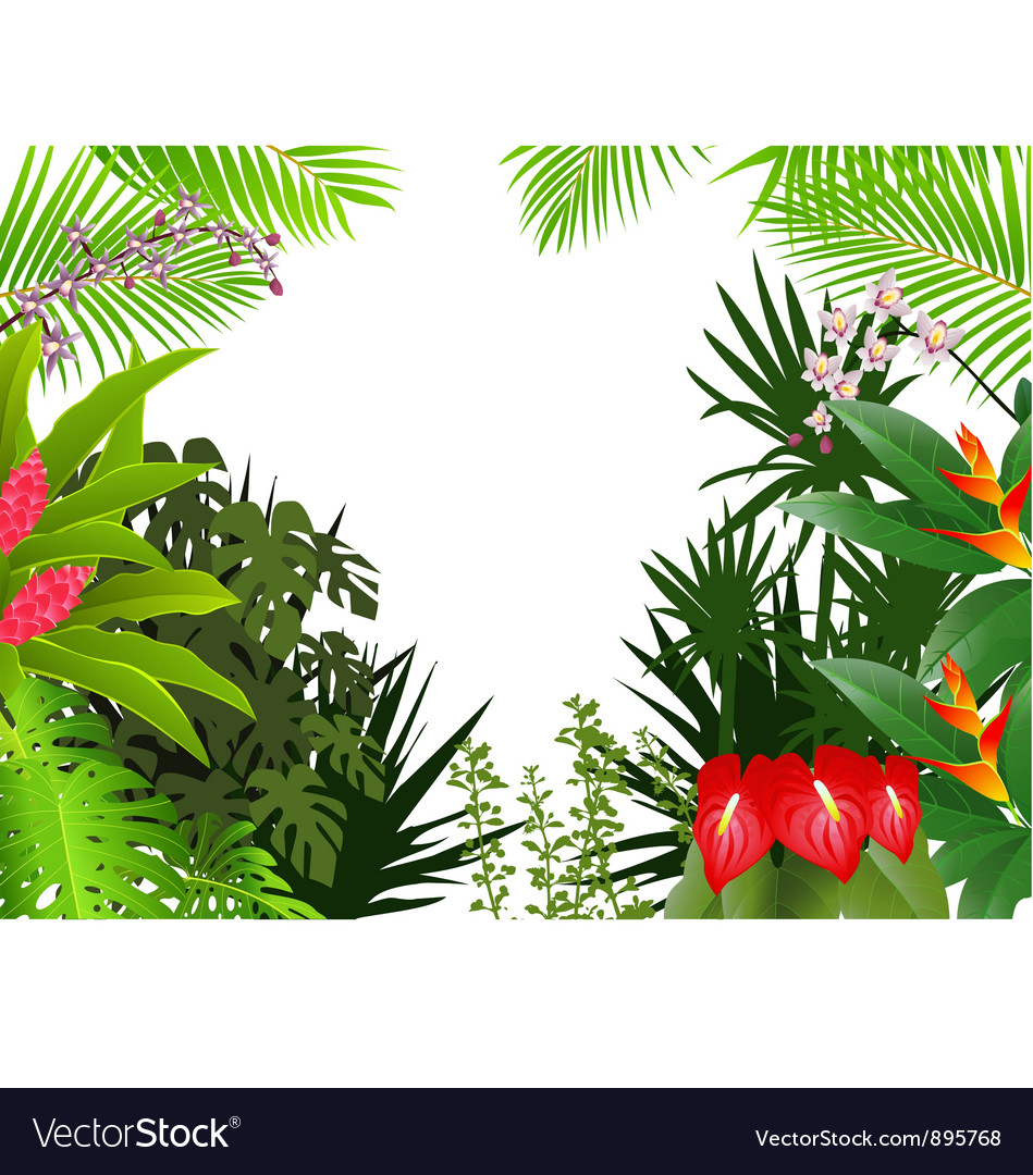 Tropical forest background Royalty Free Vector Image