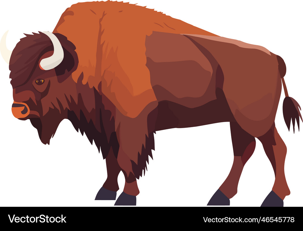 Horned ox grazing on white background Royalty Free Vector