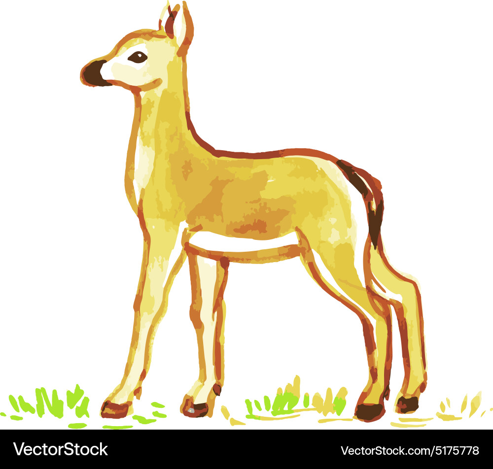 The watercolor picture doe Royalty Free Vector Image