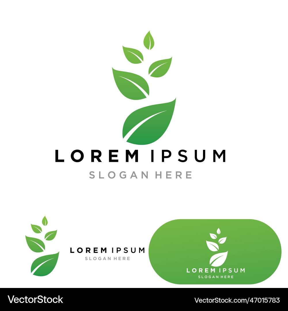 Betel leaf green nature logo Royalty Free Vector Image