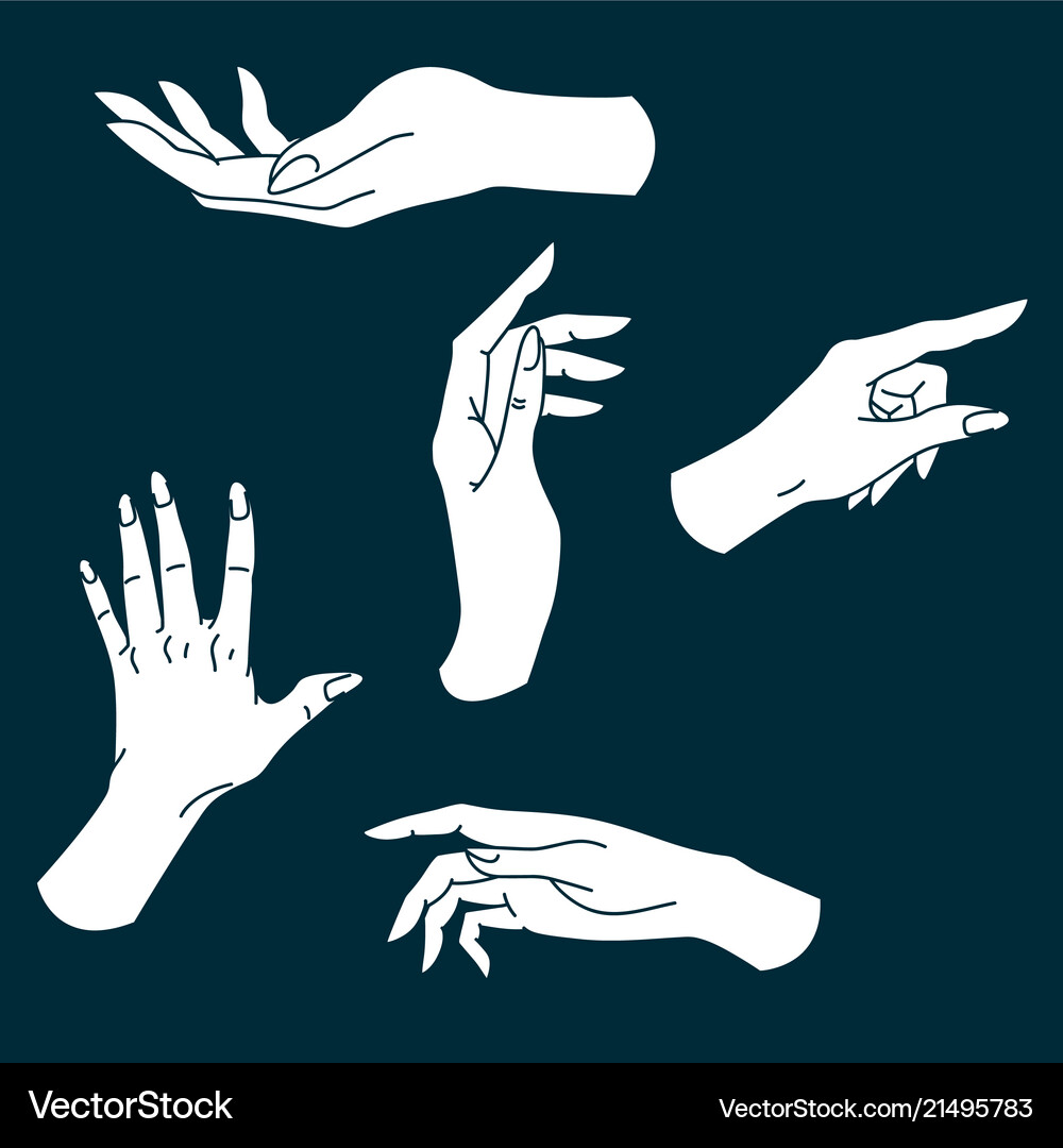 Set of hand drawn arms Royalty Free Vector Image