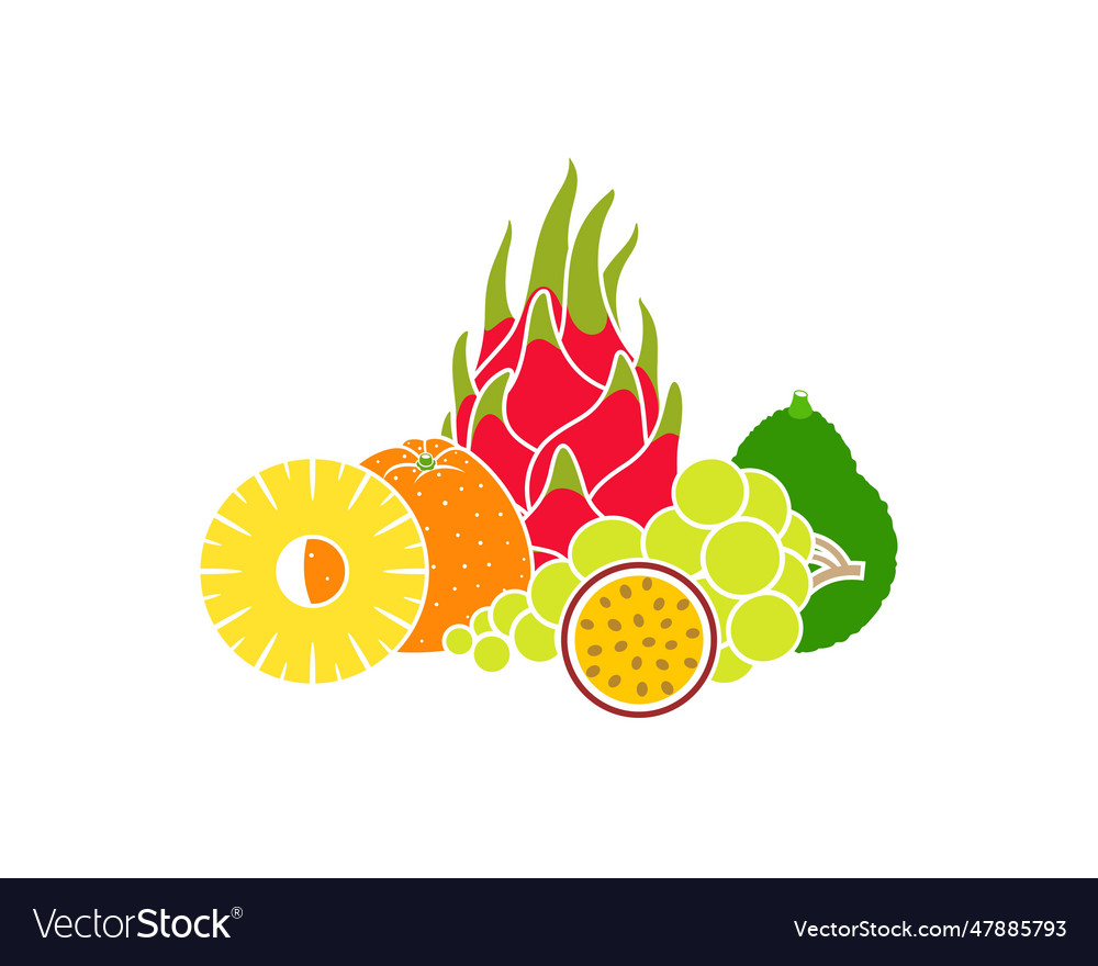 Fruit Royalty Free Vector Image - VectorStock